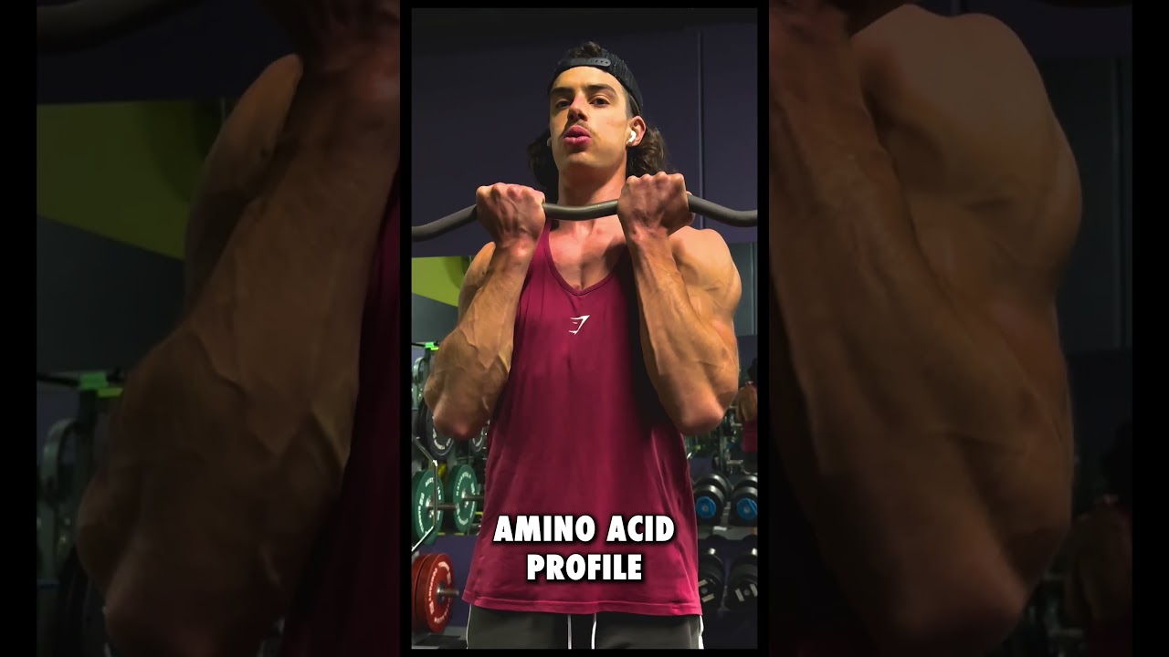 Is Collagen Protein Useless for Muscle Growth? #fitness #gym #nutrition ...